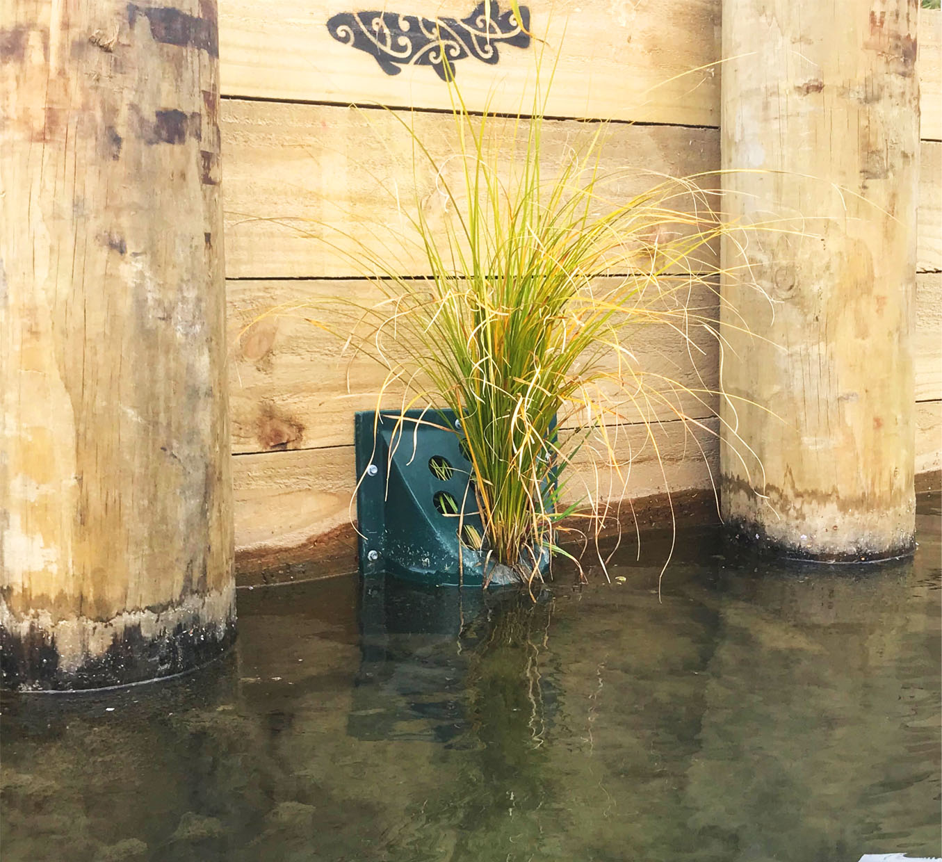 Planter Pods • ATS Environmental