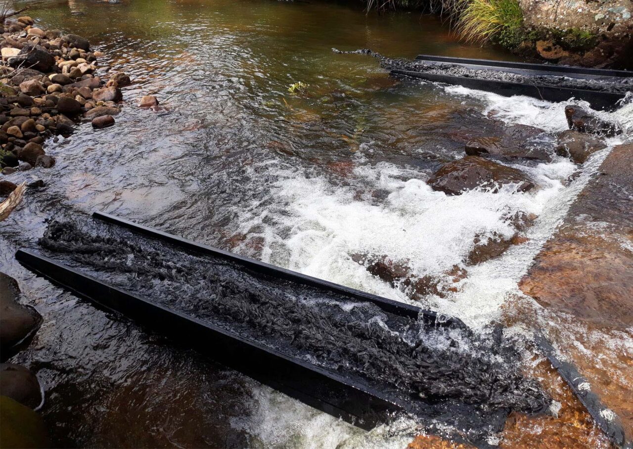 FLOATING RAMP | ATS ENVIRONMENTAL | NEW ZEALAND