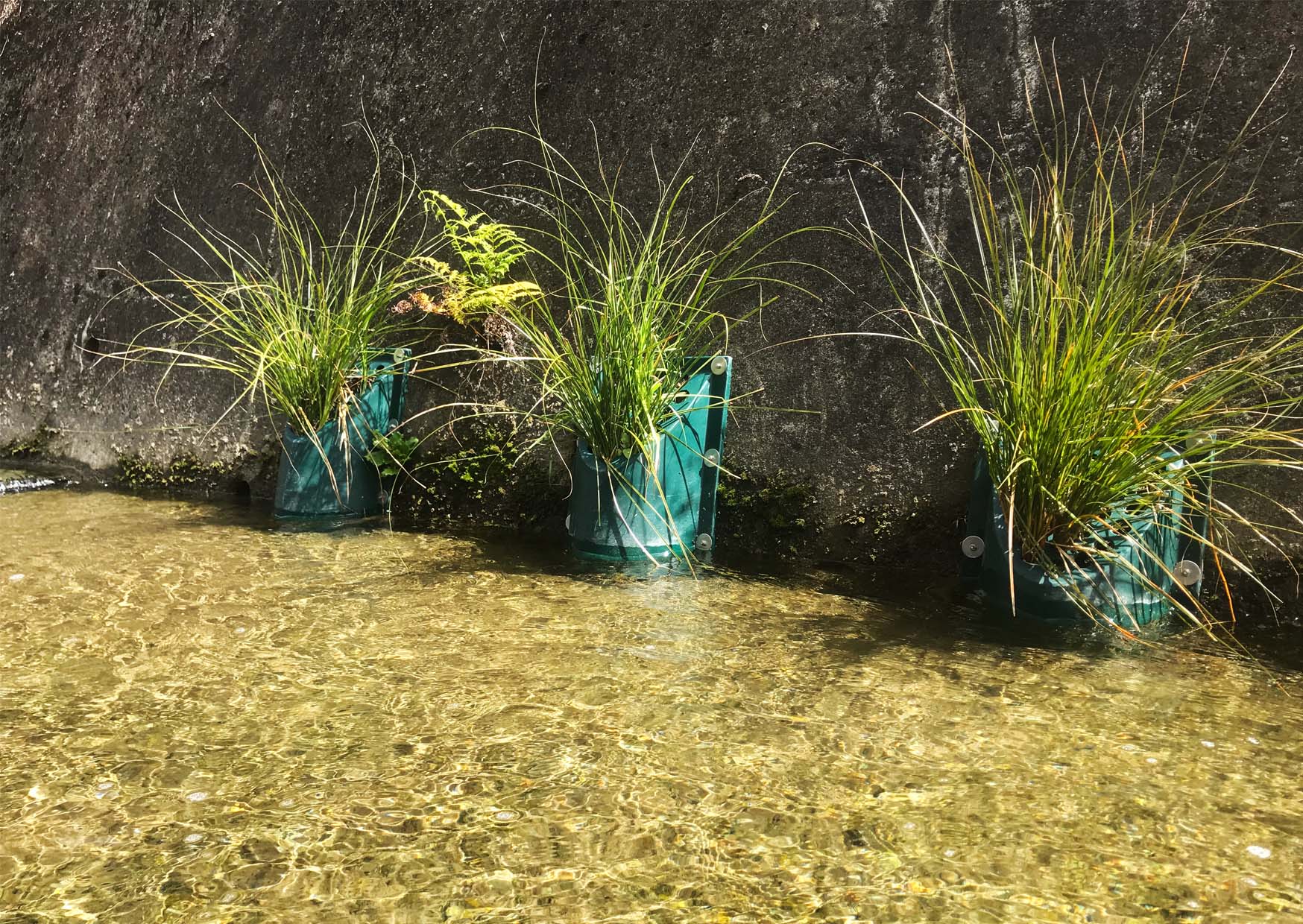 Planter Pods • ATS Environmental