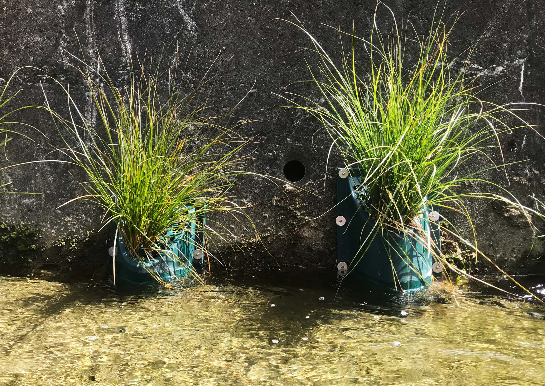 Planter Pods • ATS Environmental